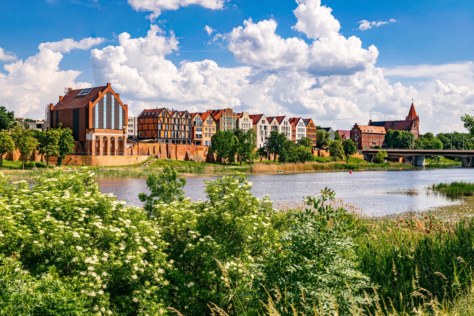 Malbork - Things to do and how to get there